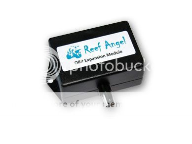 Reef Angel Akvaryum Kontrol Sistemleri | Deniz Akvaryumu Portalı